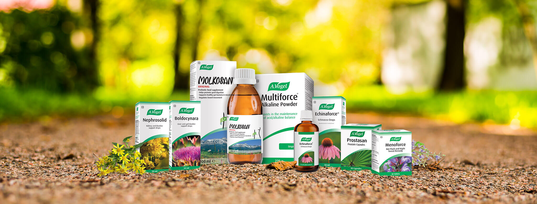 A.Vogel Herbal Remedies | Health Products Made in Switzerland