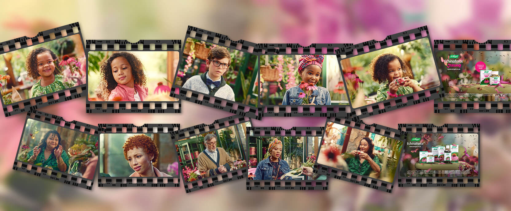 A.Vogel Herbal Remedies | Official Website